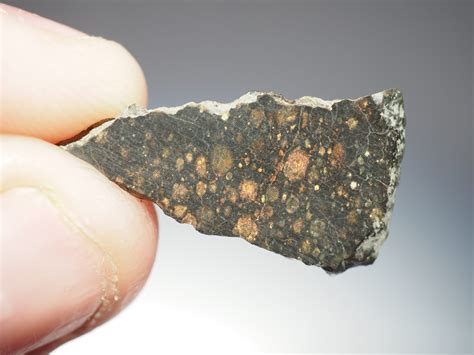 1 Gram Nwa 11265 Carbonaceous Chondrite Cv3 Part Slice Msg Meteorites