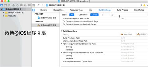 Ios Swift Dyld Library Not Loaded Using CocoaPods Stack Overflow