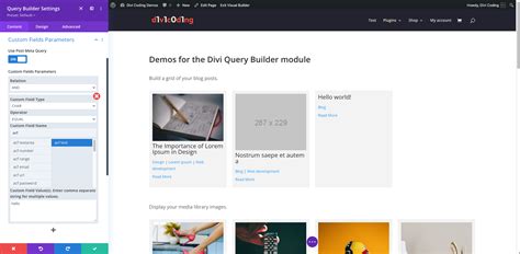 Demo Divi Custom Field Views Divi Coding Store