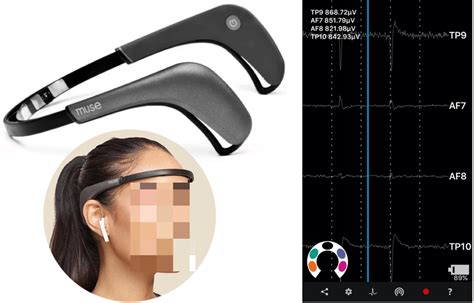 Traditional Usage Of Muse In Experiments Download Scientific Diagram
