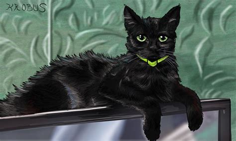 Krobus The Cat By Mechademik On Deviantart