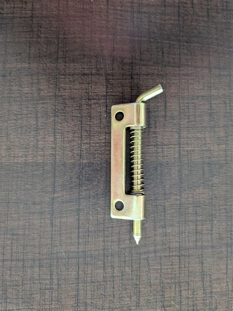 Spring Hinges Witrus