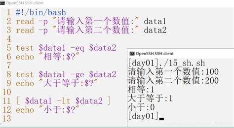 shell脚本语言 超全超详细 CSDN博客