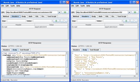 NetFeijão Brazil Introdução a JAXRS Java API for RESTful Web Services