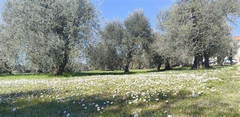 New Uk Inheritance Tax Rules The Spectrum Ifa Group