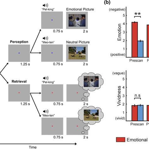 Experimental Design And Subjective Ratings A Cortical Activity Was