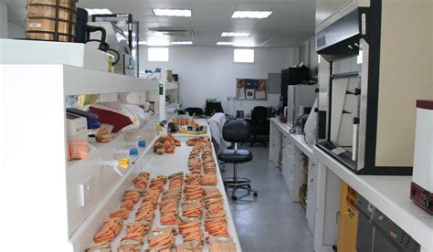 Central Analytical Lab International Center For Biosaline Agriculture