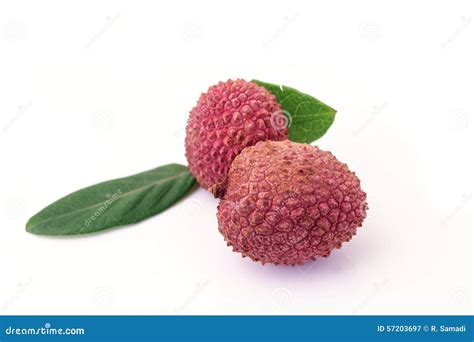 Litchees On A White Background Stock Image Image Of Leaf Dessert 57203697