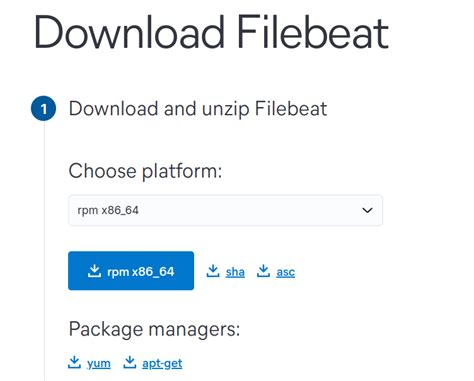 Установка Filebeat It Pro Blog