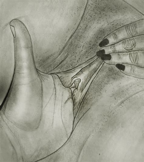 My Amateur Drawing Nude Pics Xhamster