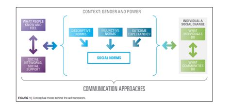 Combining Theory And Research To Validate A Social Norms Framework