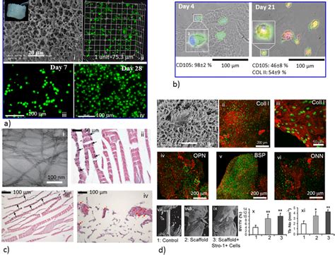 Stimuli Responsive Polymeric Biomaterials For Te Applications A Download Scientific Diagram