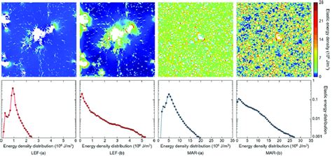 Elastic Simulations Of The Two Porous Mesostructures Originating From