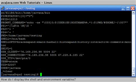 How Do I Display The Shell And Environment Variables Web Tutorials Avajava