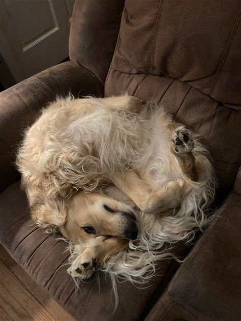 Elastic Container Stand Up A Simple Elastic Container With Kibana Fleet And The Detection