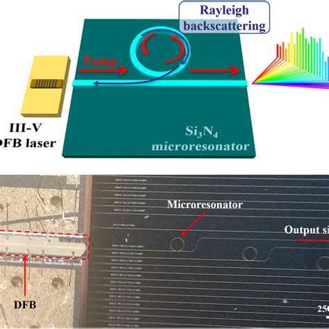 Schematic Illustration Of A Self Referenced Kerr Frequency Comb A The Download Scientific