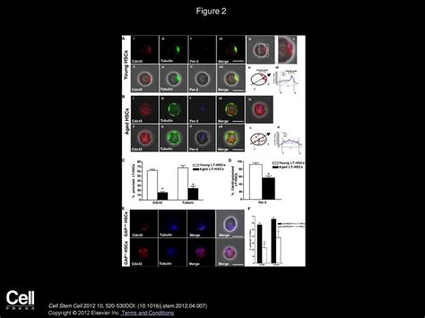 Volume 10 Issue 5 Pages May 2012 Ppt Download