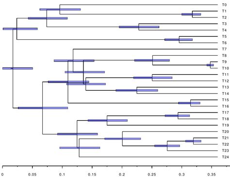 Revbayes Dating With Relative Constraints