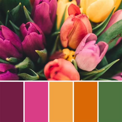 Spring Colour Palettes Hex Codes Mean Creative