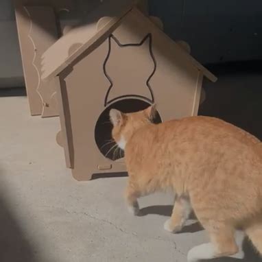 🐱 Cat House・ Gcode File For 3d Printing And Cnc Machining Laser