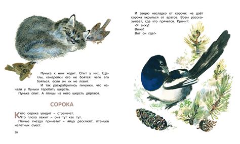 Книга: Друзья - Евгений Чарушин. Купить книгу, читать рецензии | Лабиринт