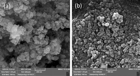 FE SEM Images Of A Fe3O4 SiO2 Pr NH2 And B Fe3O4 SiO2 Pr NH2 DAP Download Scientific