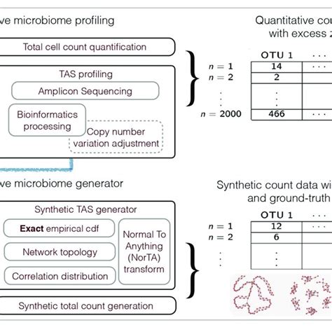 Summary Of The Workflow For Quantitative Microbiome Profiling Qmp Download Scientific