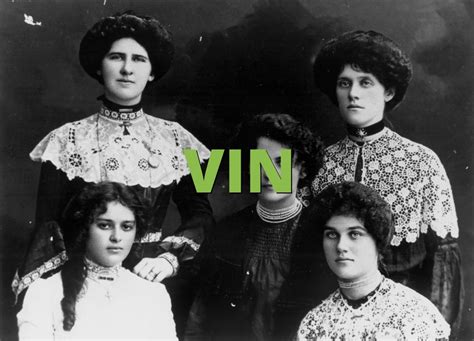 VIN Meaning Slang Org