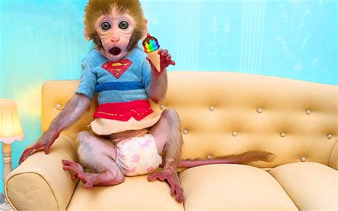 有趣的小猴子：小猴子准备了美味的彩虹冰淇淋，馋的直流口水！ 小猴子儿童乐园 小猴子儿童乐园 哔哩哔哩视频