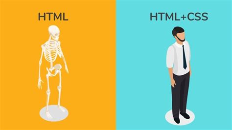 دوره HTML و CSS بهترین دوره آموزش HTML و CSS