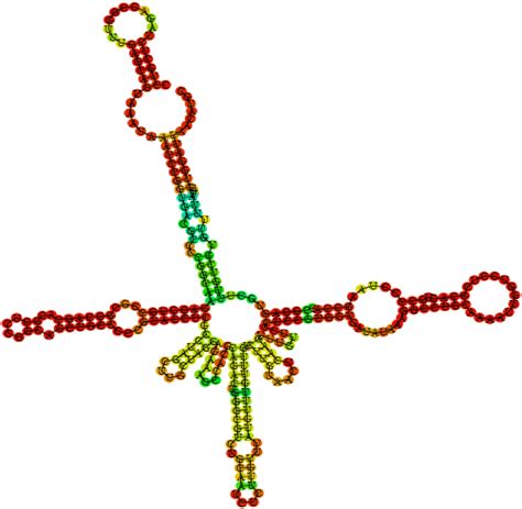 The Predicted Secondary Rna Structure Of The 3′ Utr Of The Sicinivirus