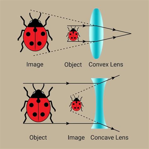 Premium Vector Convex And Concave Lens Image And Object