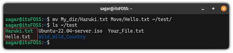 Mv Command Examples Linux Punx