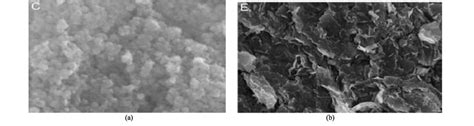 A SEM Image For CC B SEM Image For LP Download Scientific Diagram