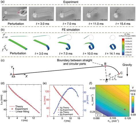 dynamics of shape‐reconfiguration process of the prestressed shell a