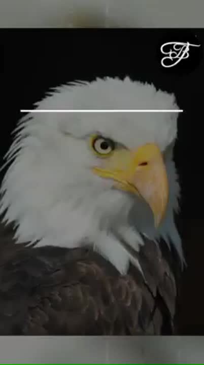 Nelson Sequeira Posted On Linkedin