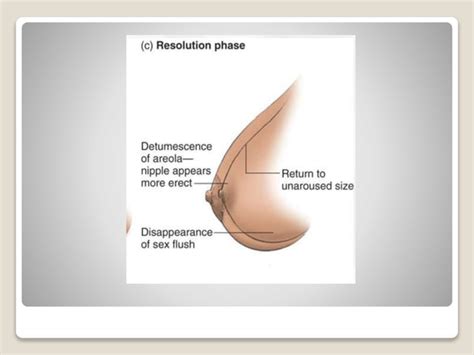 Female Sexual Response PPTX Sexual Conditions Sexual Health