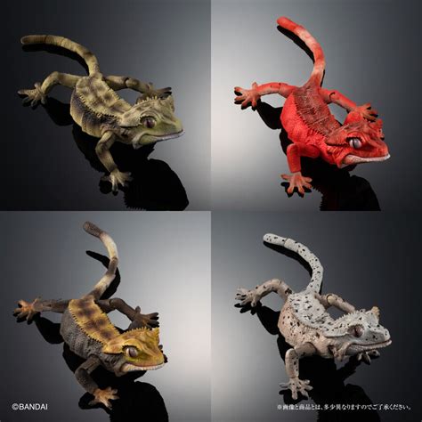 [반다이 가샤폰] 생물대도감 어드밴스 크레스티드 게코 볏도마뱀붙이 피규어 정보