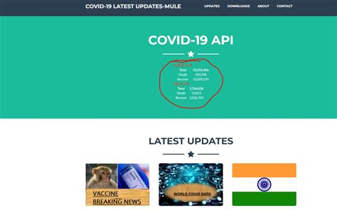 Website Hosting With MuleSoft API