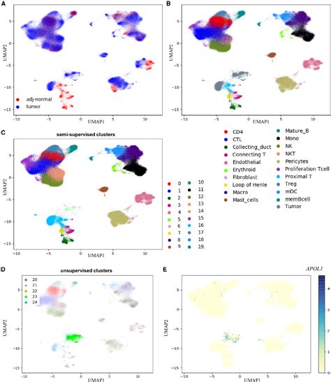 Figure 6 From A Deep Generative Framework With Embedded Vector