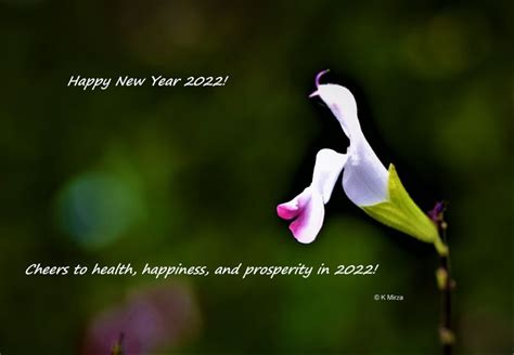 Khasim Mirza Posted On Linkedin