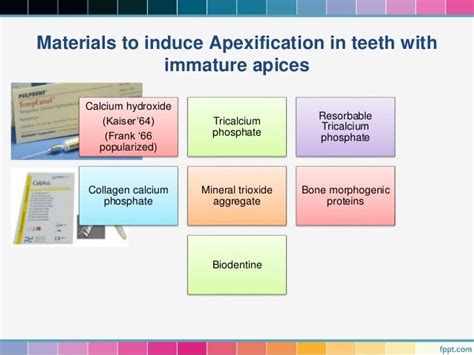 Apexogenesis And Apexification