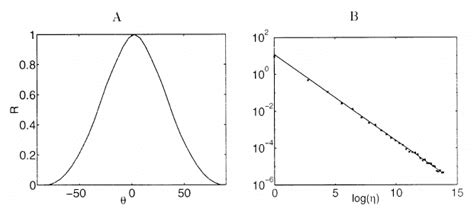A Local Autocorrelation Function B Local Autocorrelation Power