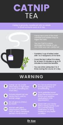 Catnip Why Your Cat Loves It Human Uses Dr Axe