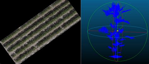 Msc Thesis Topic From Pot To Plot Correlating High Throughput
