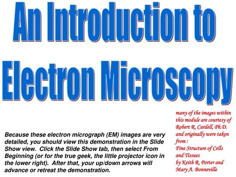 Ppt An Introduction To Electron Microscopy Powerpoint Presentation