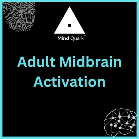 Adult Midbrain Activation In Rajkot Id 2851656798730