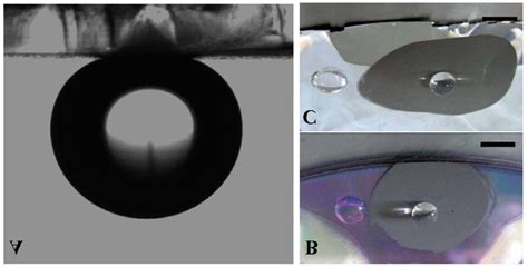 Shape Of A Water Droplet Drop Mass Of 10 Mg On The Surface Of Ag