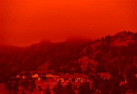 Wildfire Mitigation Is A Priority In The Estes Valley Estes Park Trail Gazette