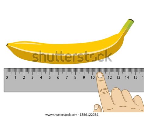 Measuring Banana Ruler Penis Length Metaphor Stock Vector Royalty Free 1386122381 Shutterstock